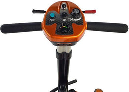 Transport 4AF | Buy EV Rider Transport 4AF